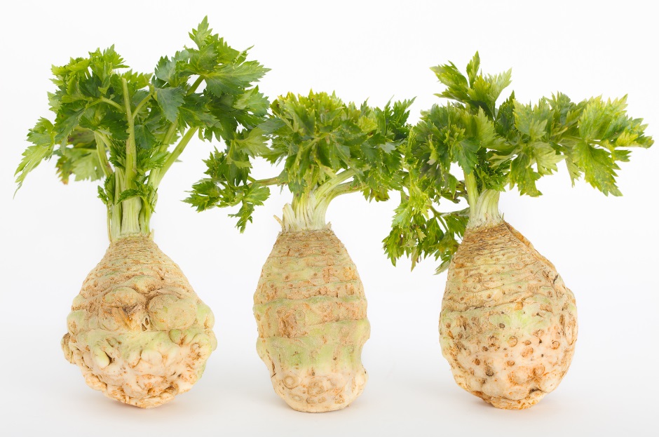 CELER - nadopovaný zdroj vitamínu B - 30tidennivyzva.cz